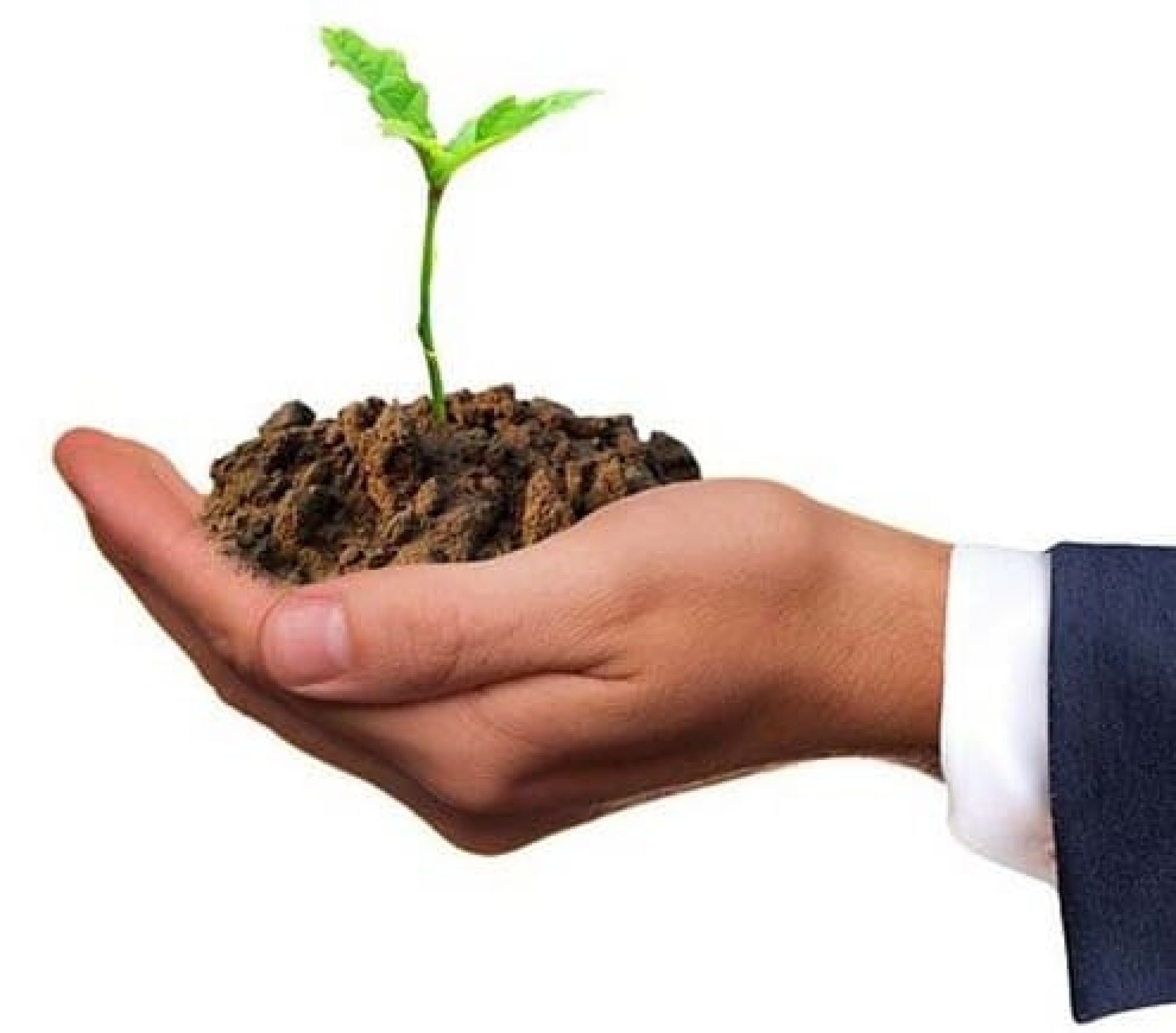 6 inversiones alternativas de alta rentabilidad para los próximos años