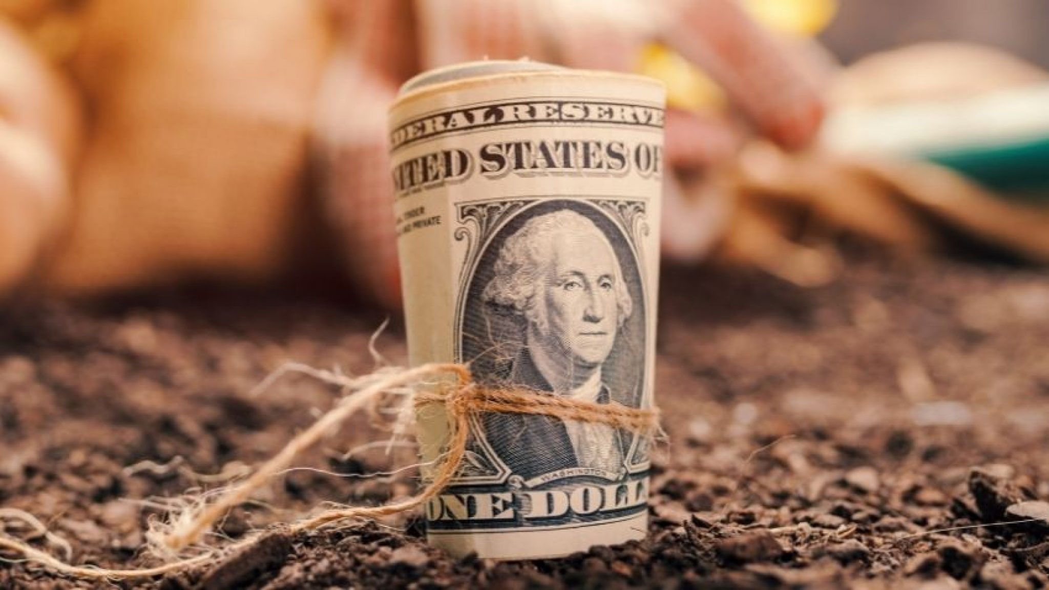 Negocios rentables en 2024: 200 ideas para emprender con éxito